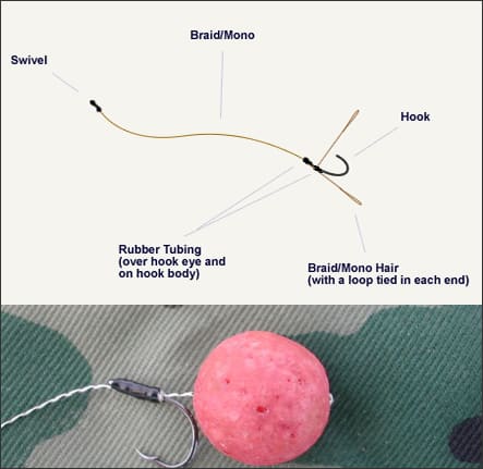 Carp Rigs for Beginners